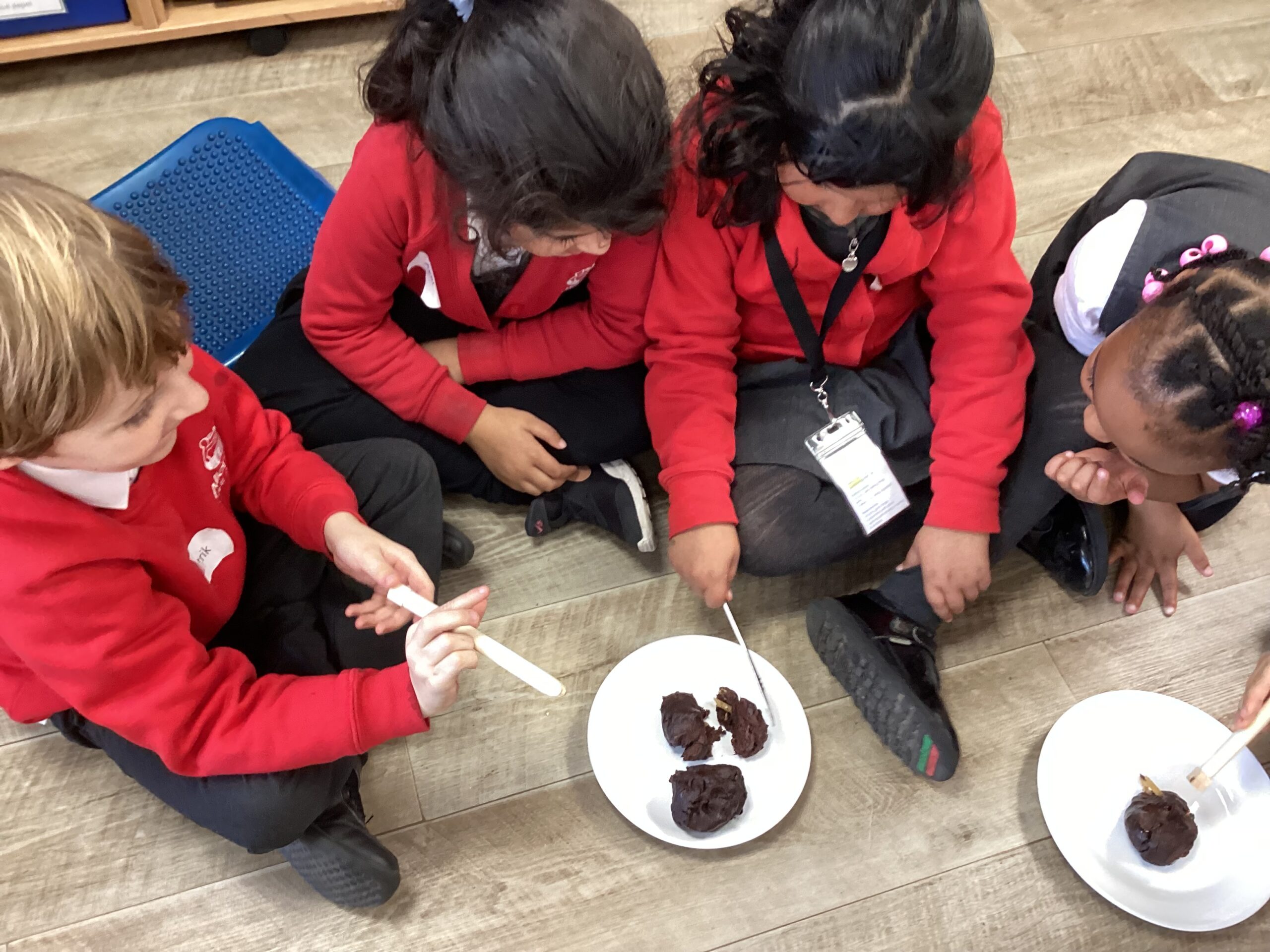 Animal poo investigation! | 1C Allerton CE Primary, Leeds